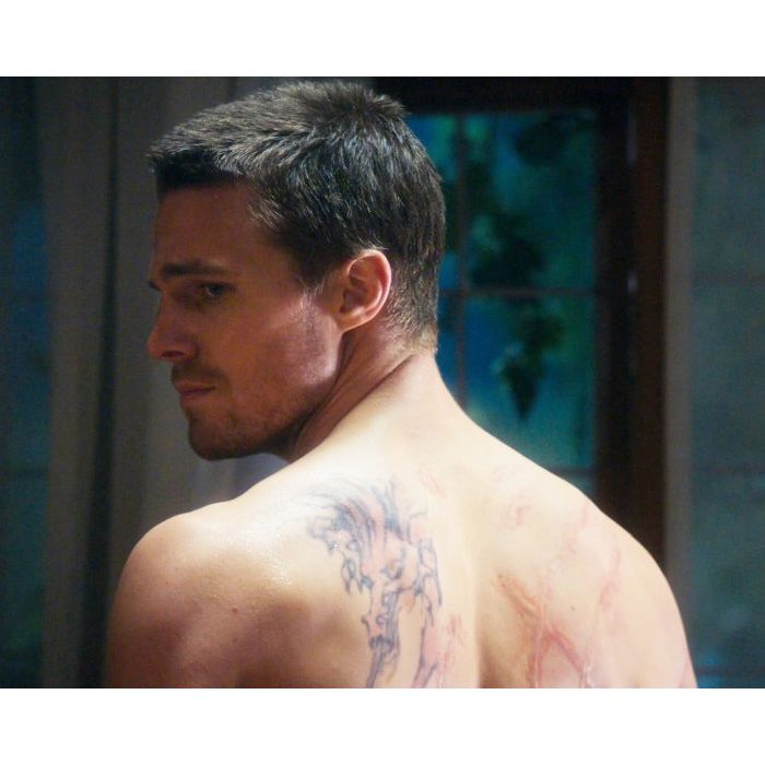 Stephen Amell Shirtless Hot Sexy Glossy 8x10 Photo Zcf 03 On Ebid United States 210433510